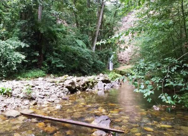 Apulco, donde la naturaleza reina