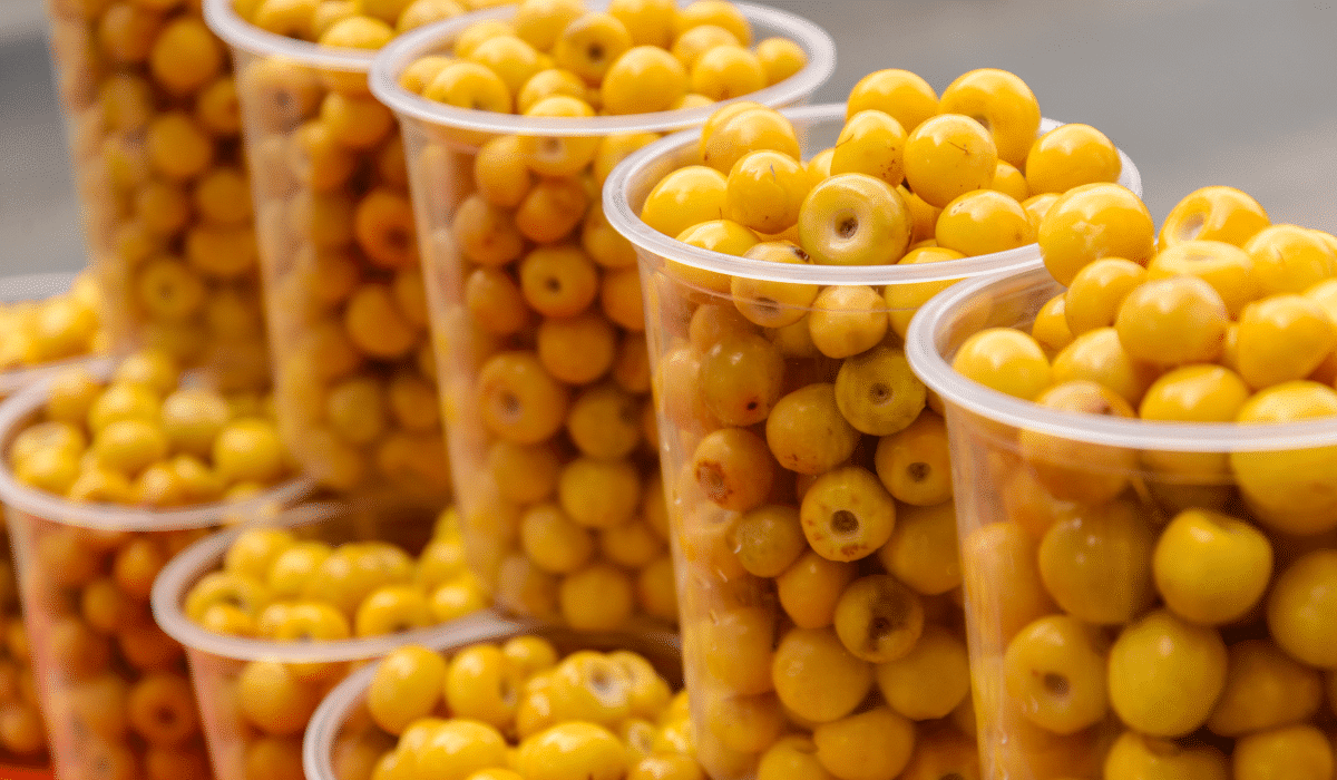 ¿Conocías el Nanche? Te decimos los beneficios de esta fruta