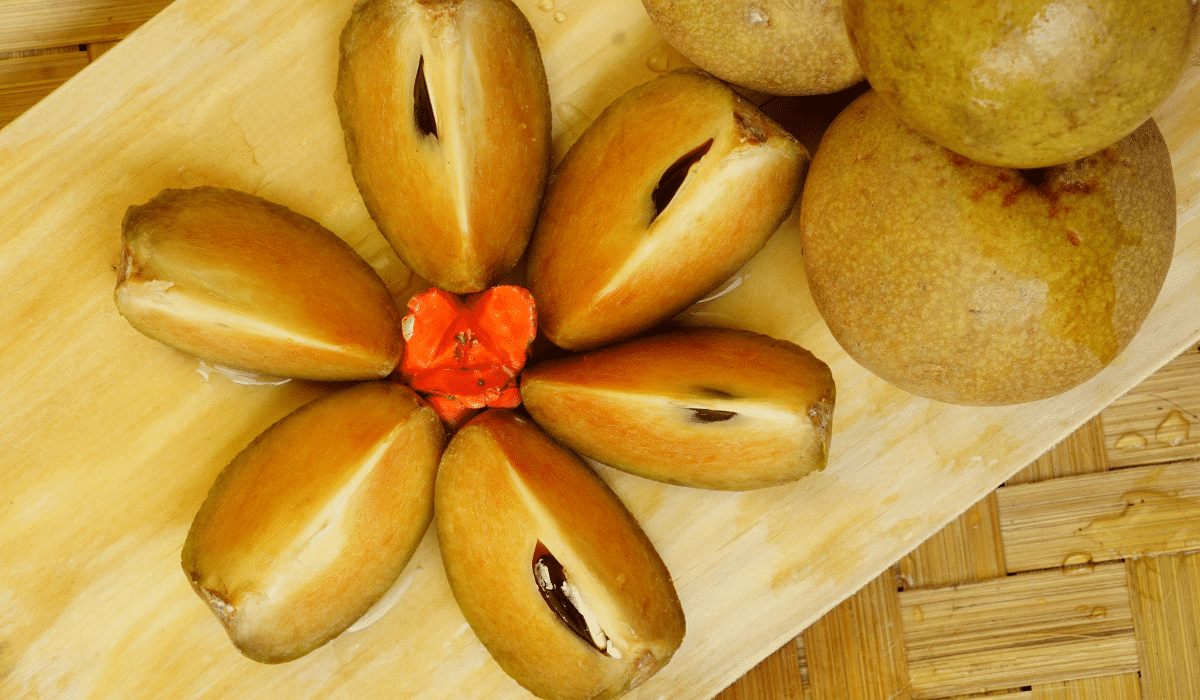 Chicozapote, fruta ancestral de delicioso sabor