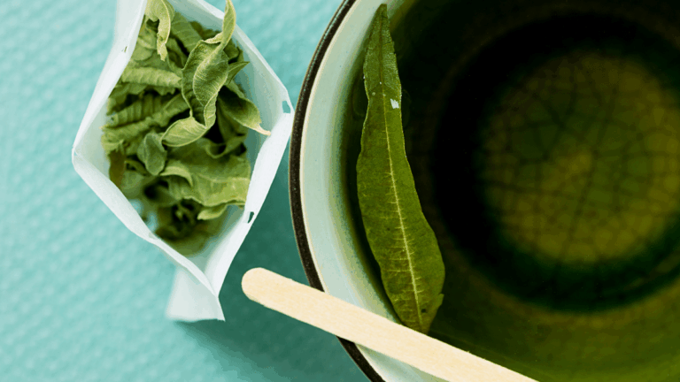 Té de cedrón: Propiedades antiinflamatorias y medicinales