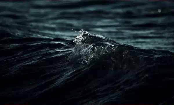 Cuando el océano se queda sin luz: el fenómeno que puede oscurecer el ...